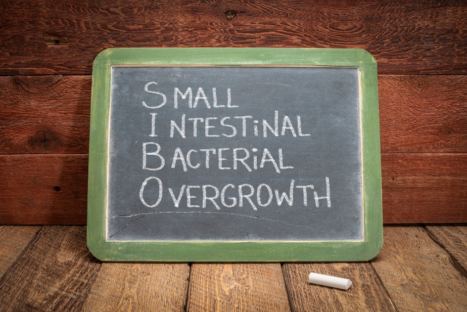 SIBO: What is Bacterial Intestinal Overgrowth Syndrome? Symptoms ...