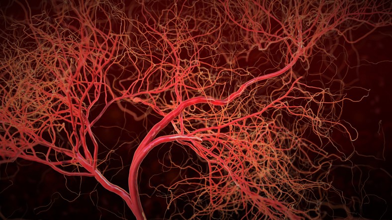 Vasculitis, Causes of Inflamed Blood Vessels, Symptoms - MedicSpark.com