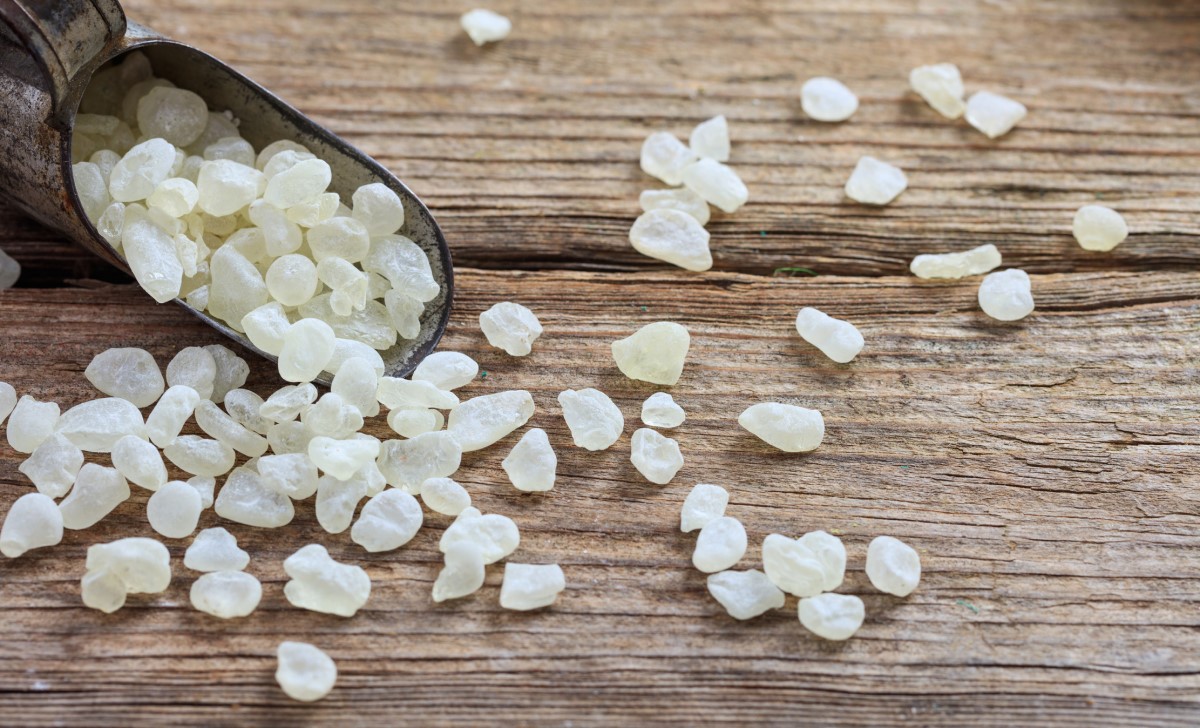 Masticha: The power of nature hidden in a resin that was known even in ...