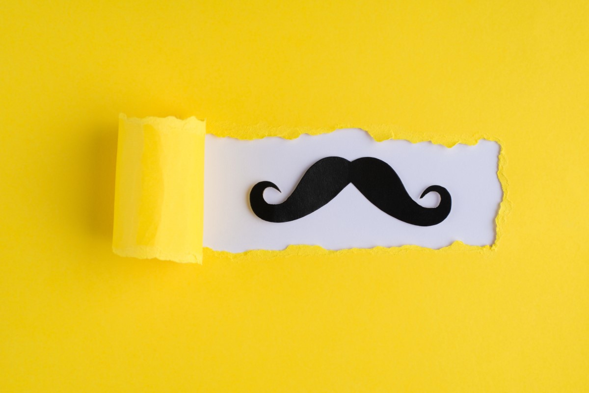 MOVEMBER = NOVEMBER - Men's Health and Prevention Month - MedicSpark.com