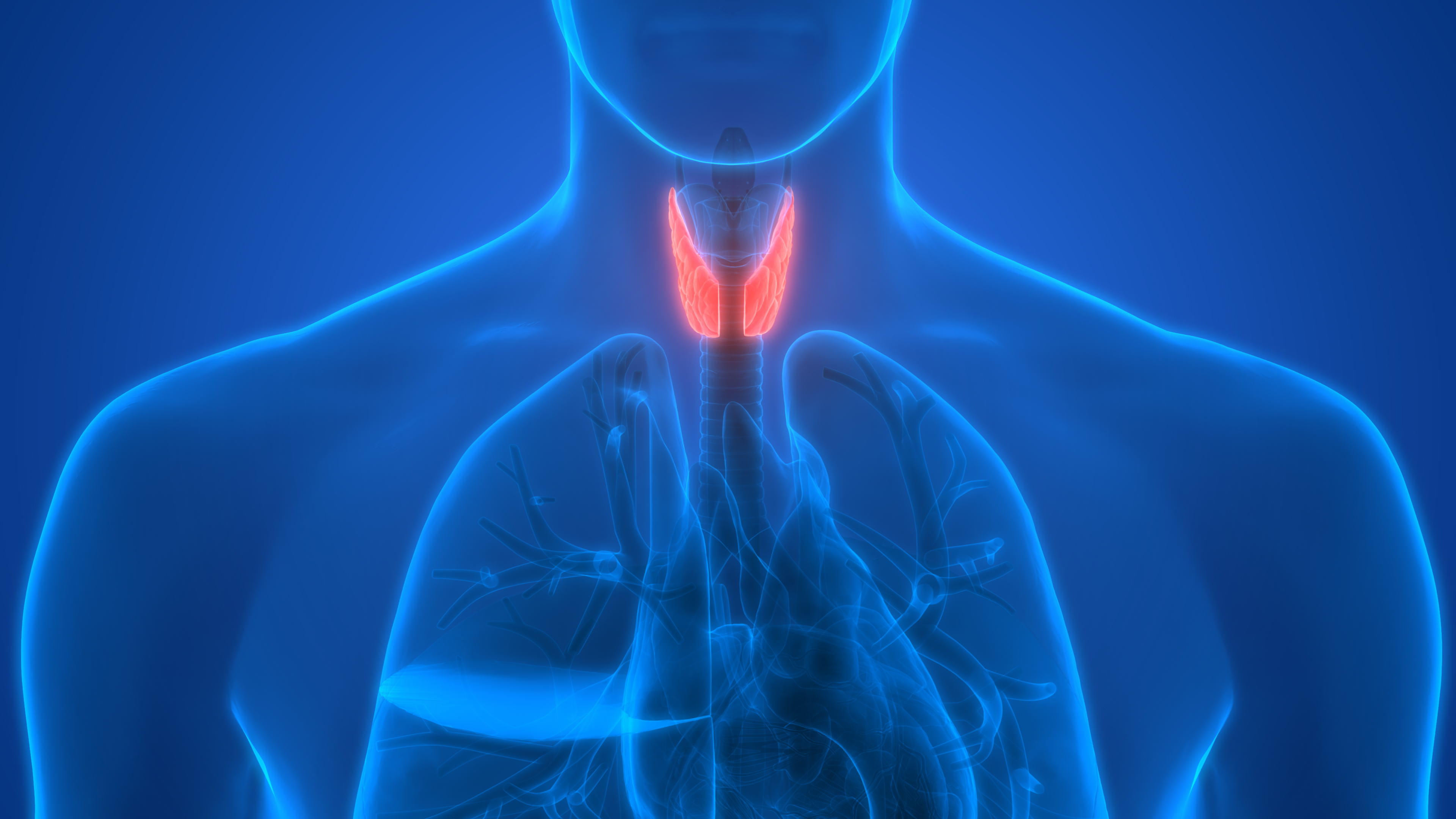 Why is iodine important in our diet? How does it affect the body ...
