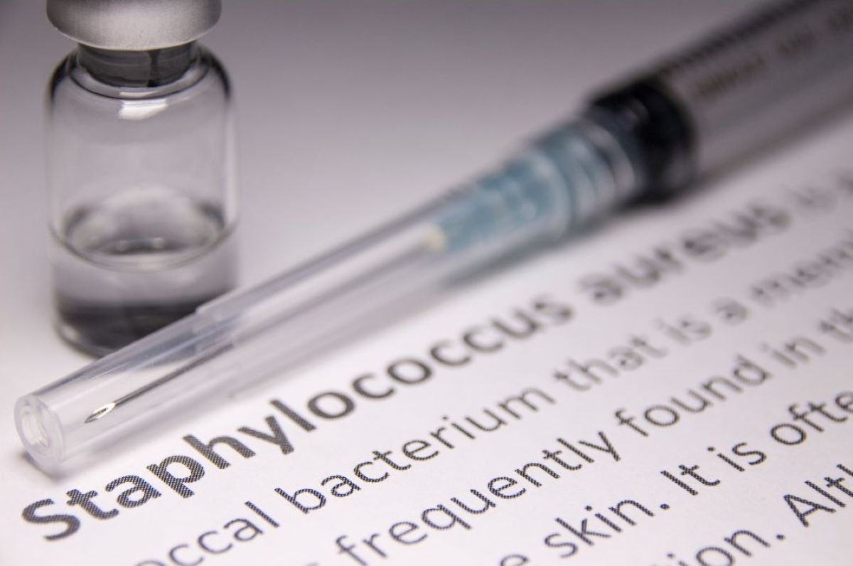 Golden staph: What is it, transmission, symptoms and treatment. How to ...